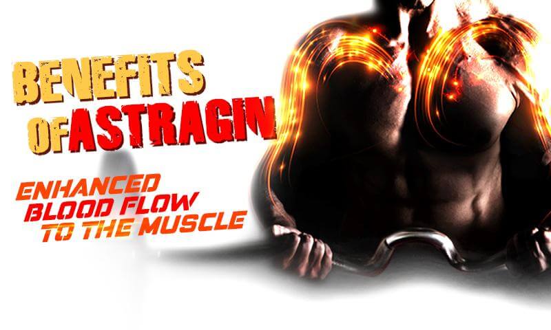 BENEFITS OF ASTRAGIN – ONEST US